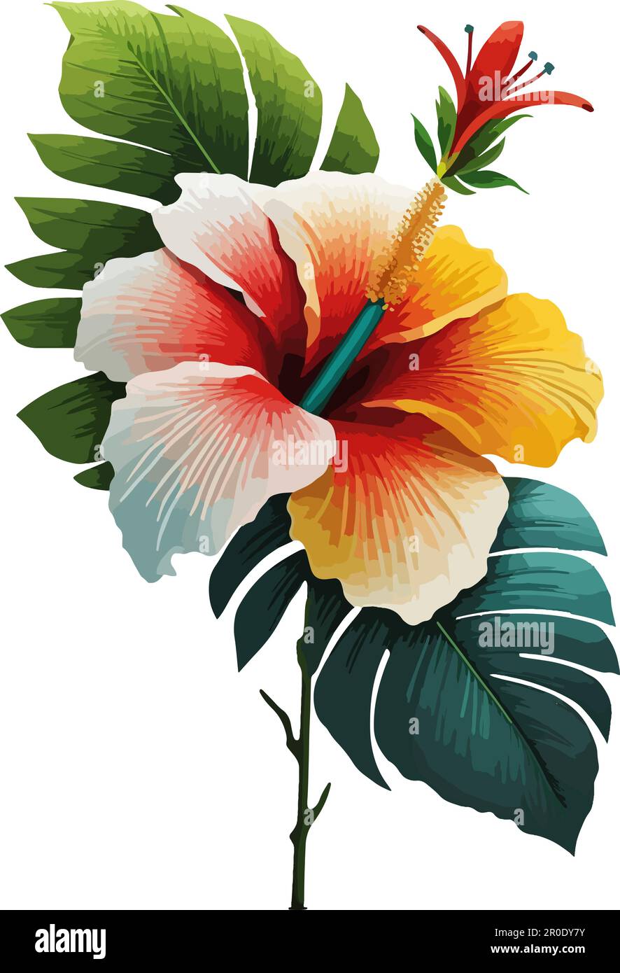 2d flat single tropical flower white background no shadow illustration ...