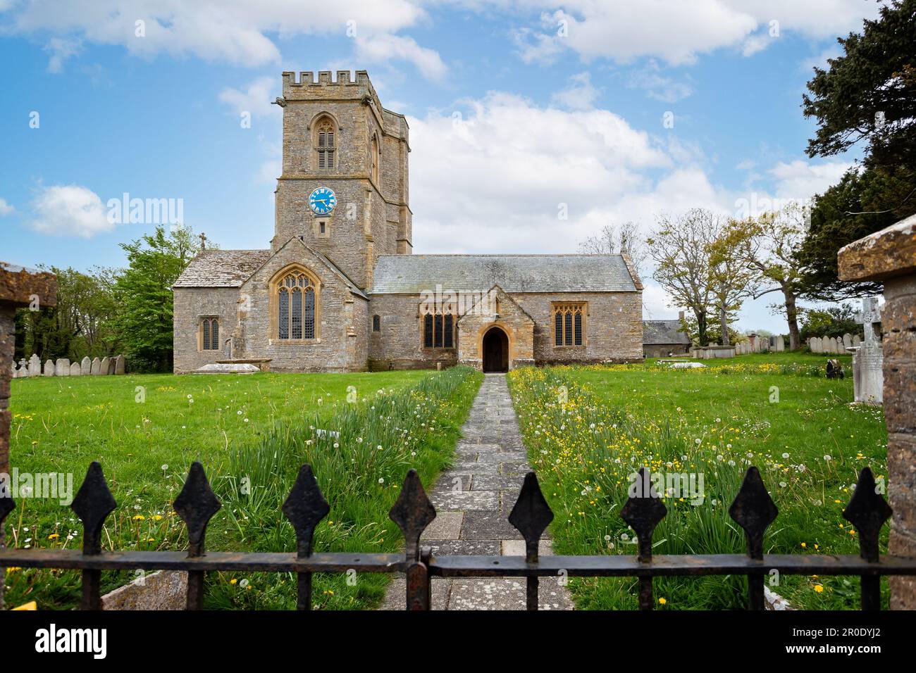 Pathway lined with yellow buttercups and daffodils leading to the ...