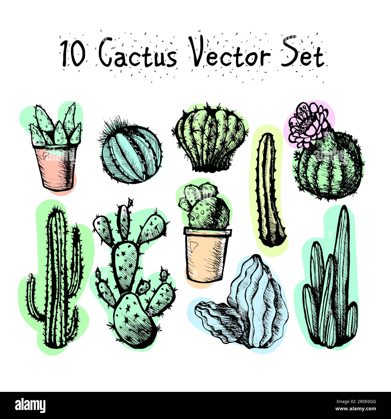 Hand Drawn Isolated Cactuses Set. Cactus in vintage style for textiles ...