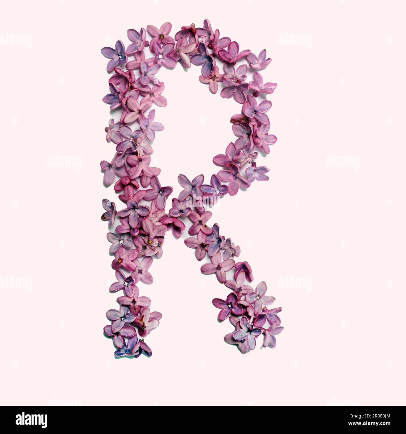 Letter r flowers hi-res stock photography and images - Alamy