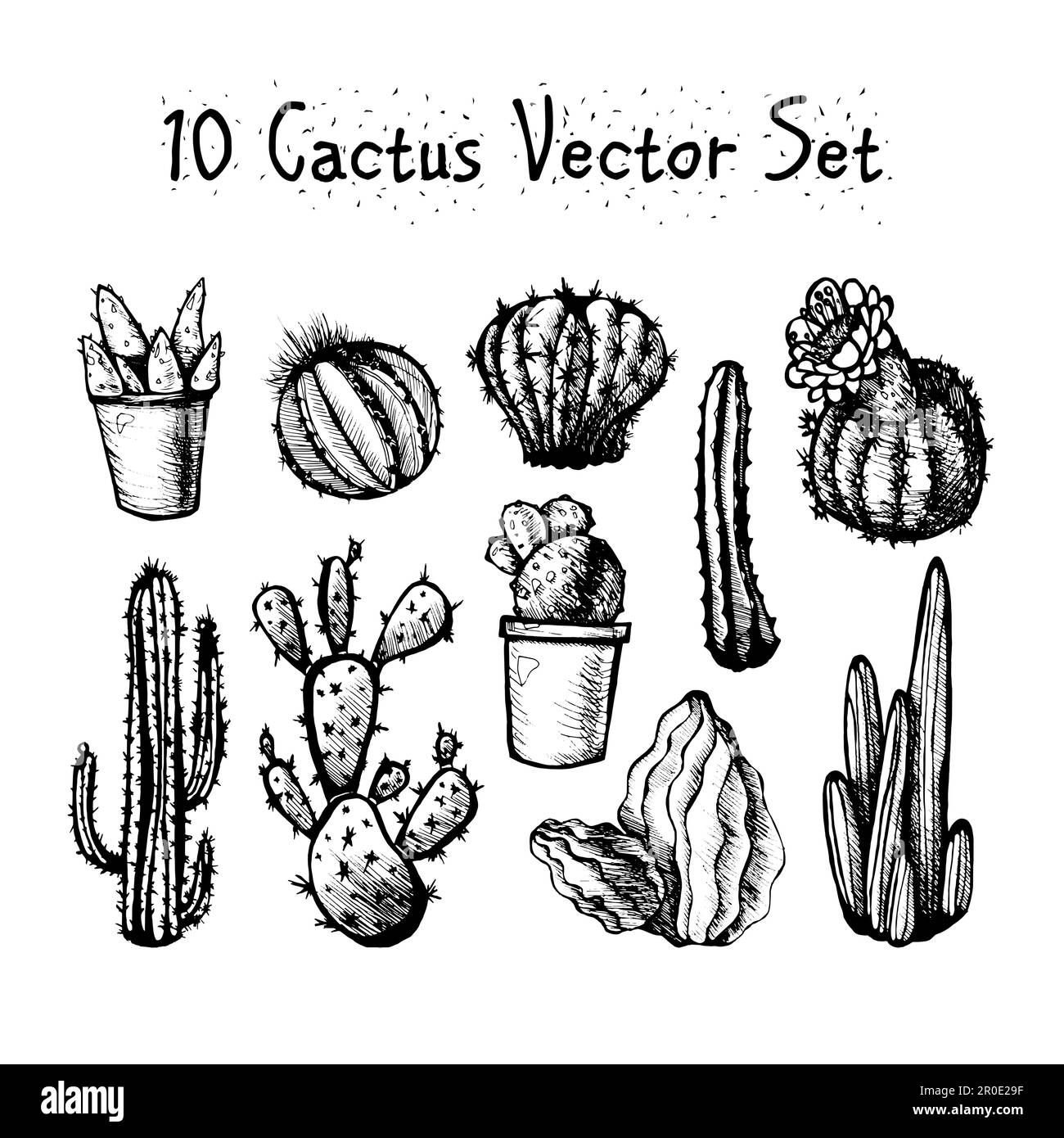 Hand Drawn Isolated Cactuses Set. Cactus in vintage style for textiles ...