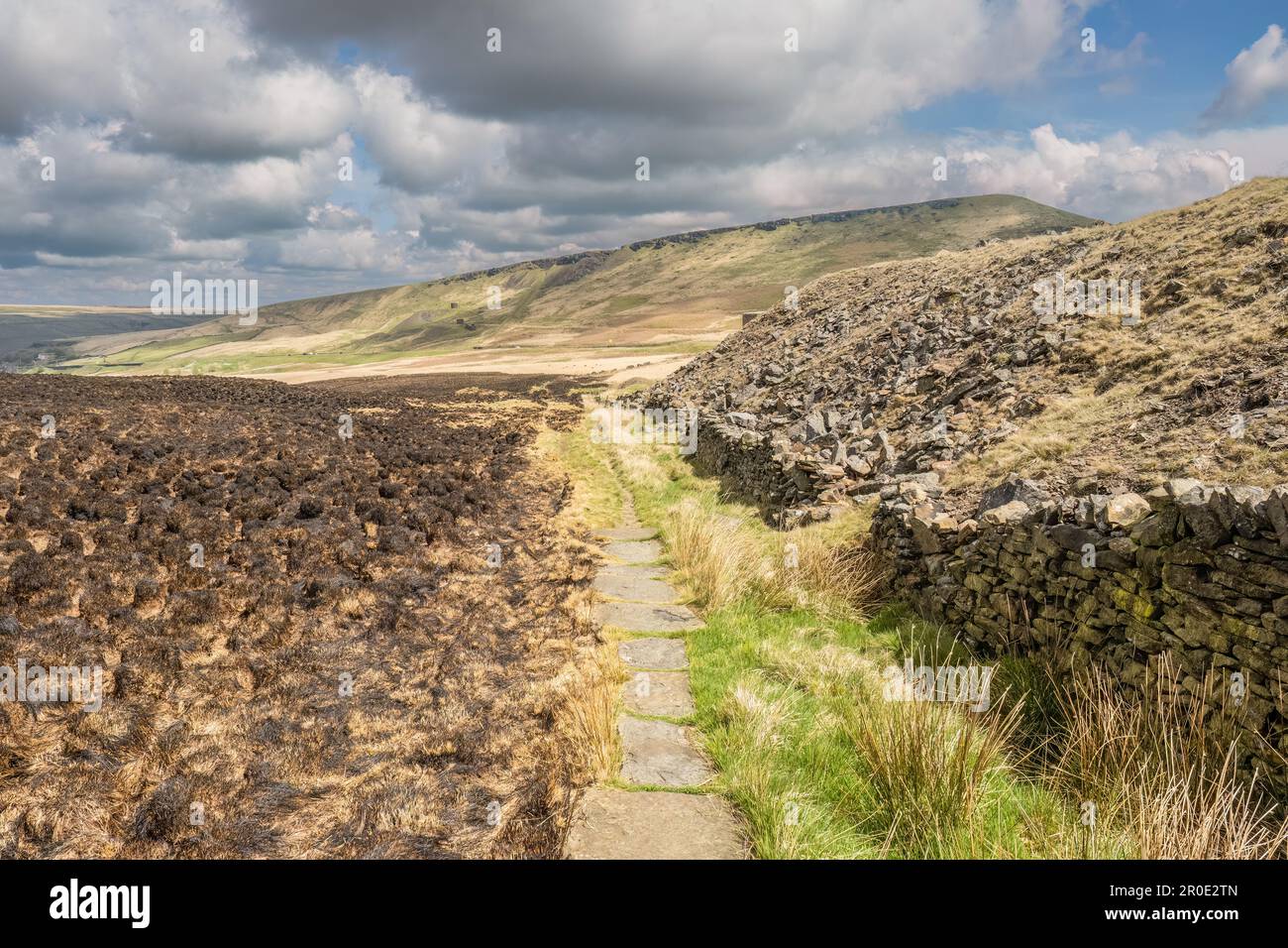 Paved footpath on burnt Pennine moorland with Pule Hill in the Southern ...