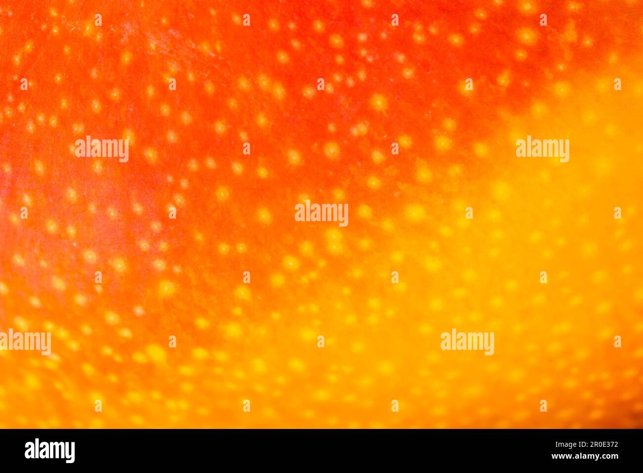 Macro Fruit: skin of mango, ultra close up, horizontal format, format ...