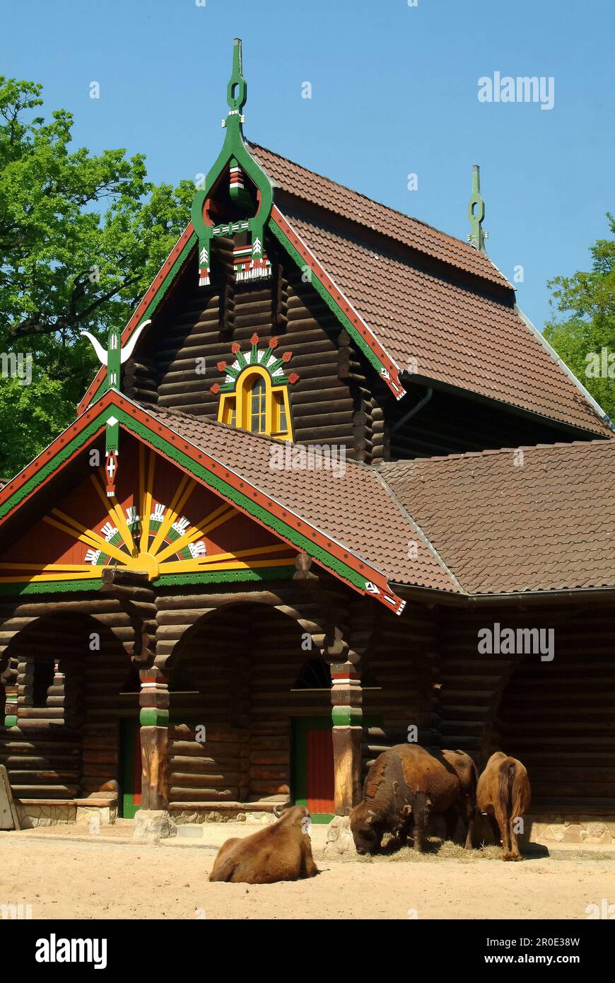 Europa bison hi-res stock photography and images - Alamy