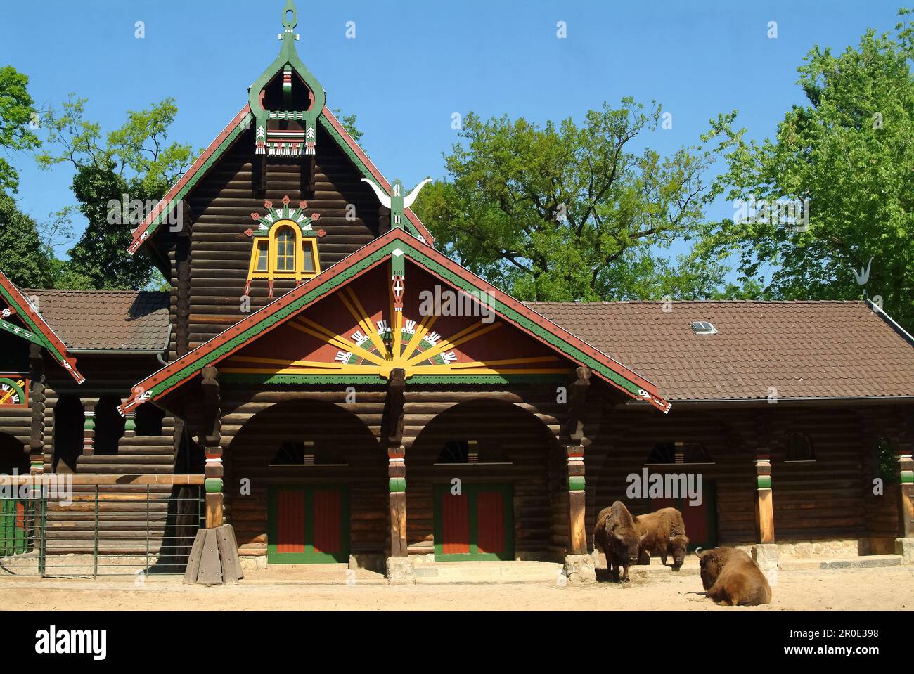 bison house, Zoo Berlin, Germany, Europe Stock Photo - Alamy