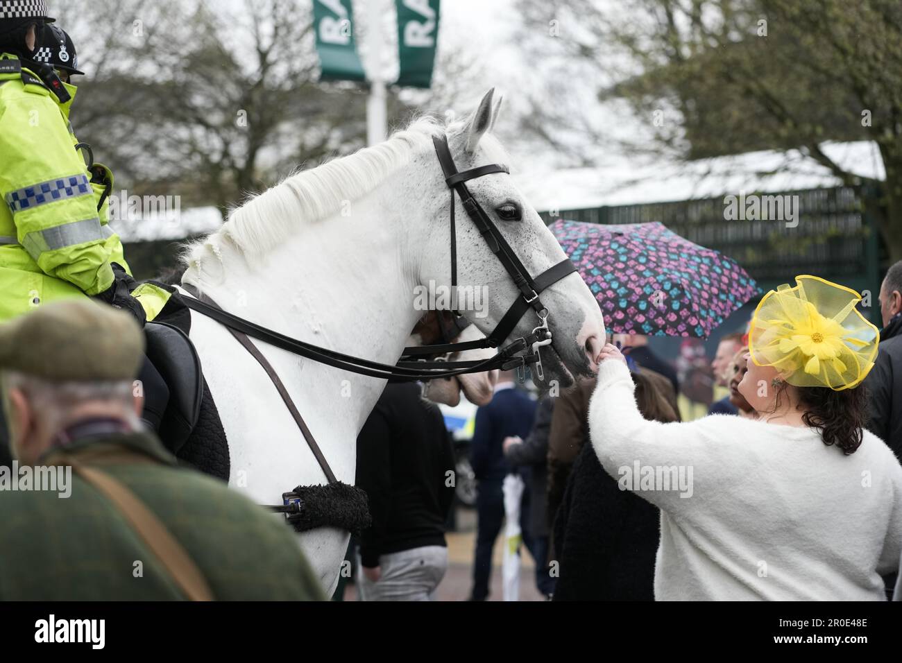 A race spectator strokes a police horse at the Aintree Grand National ...