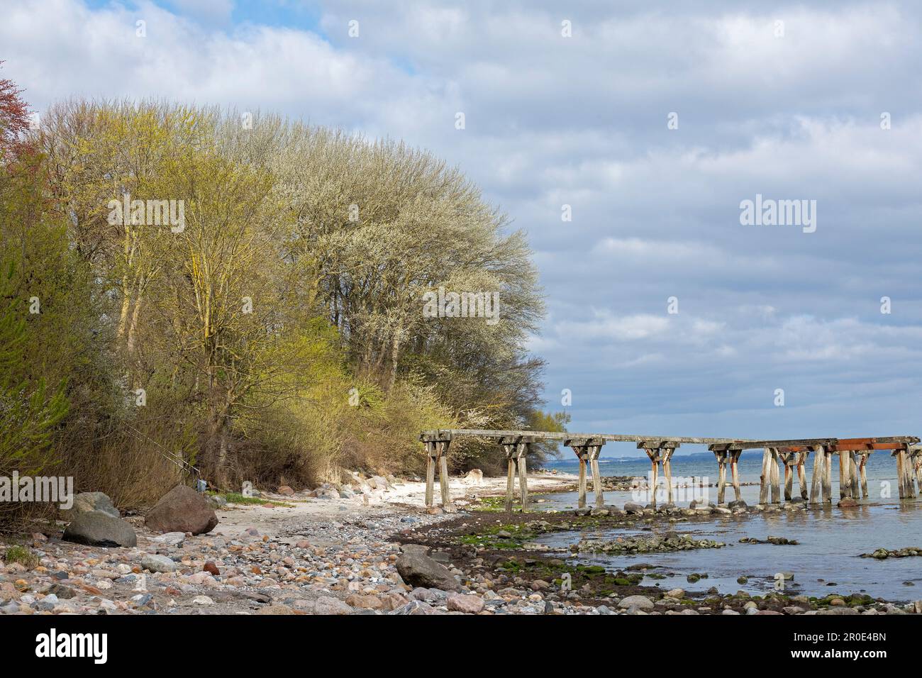 Old pier, trees, beach, Baltic Sea, Nieby, Neukirchen, Quern, Schleswig ...