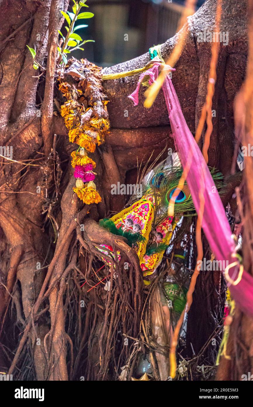Bangkok spirit tree hi-res stock photography and images - Alamy