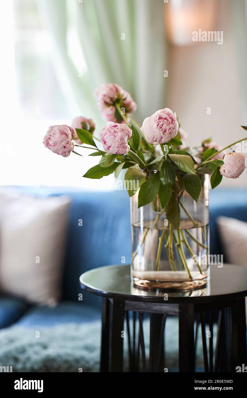 Peonies, Hotel Seehof, Goldegg am See, Pongau, Salzburger Land, Austria ...