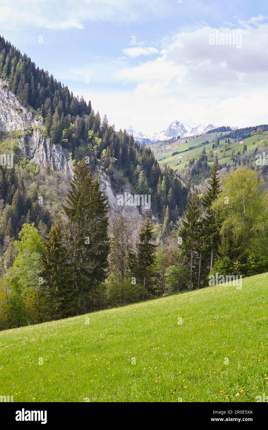 Goldegg am see hi-res stock photography and images - Alamy