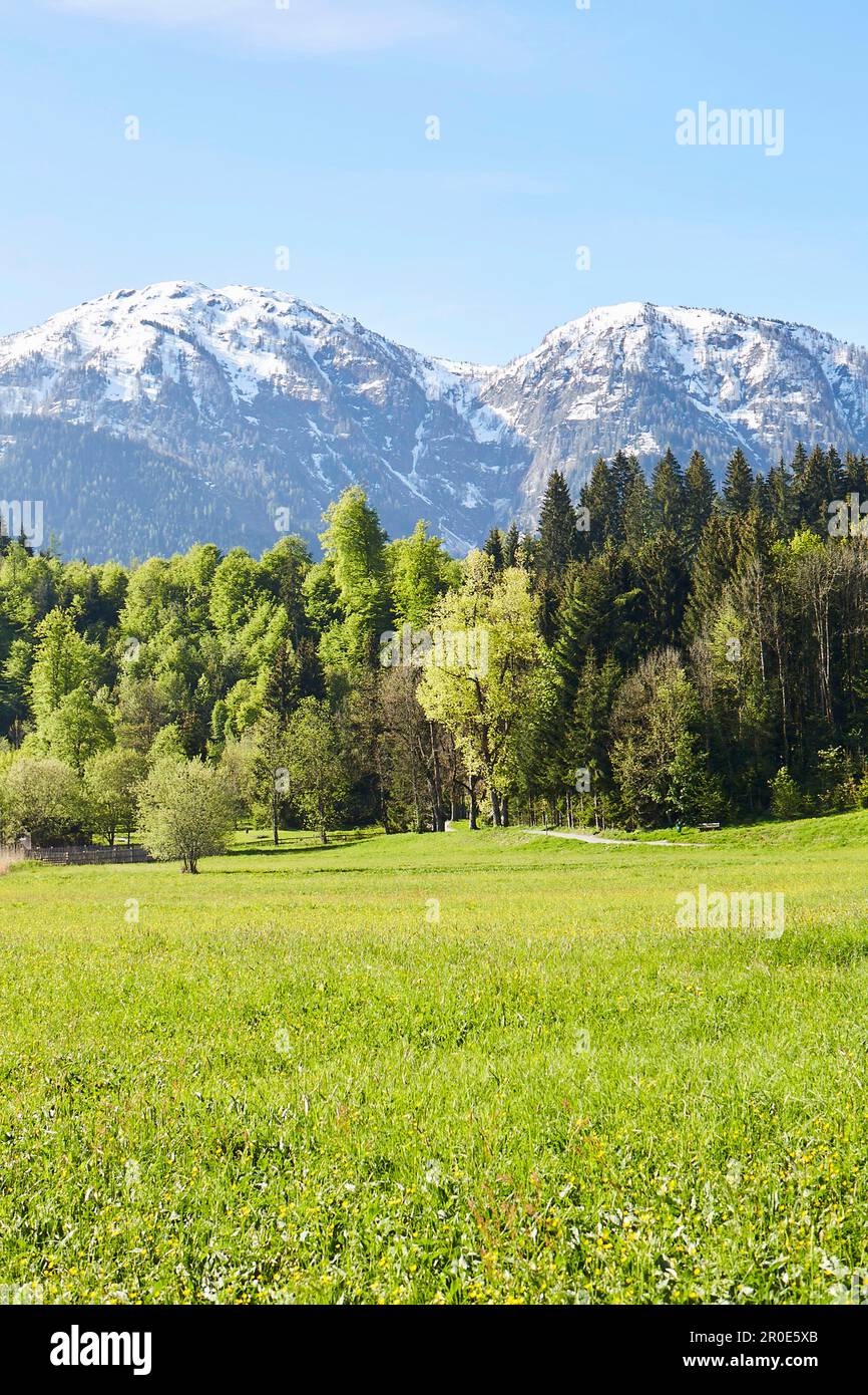 Goldegg am See, Pongau, Salzburger Land, Austria Stock Photo - Alamy