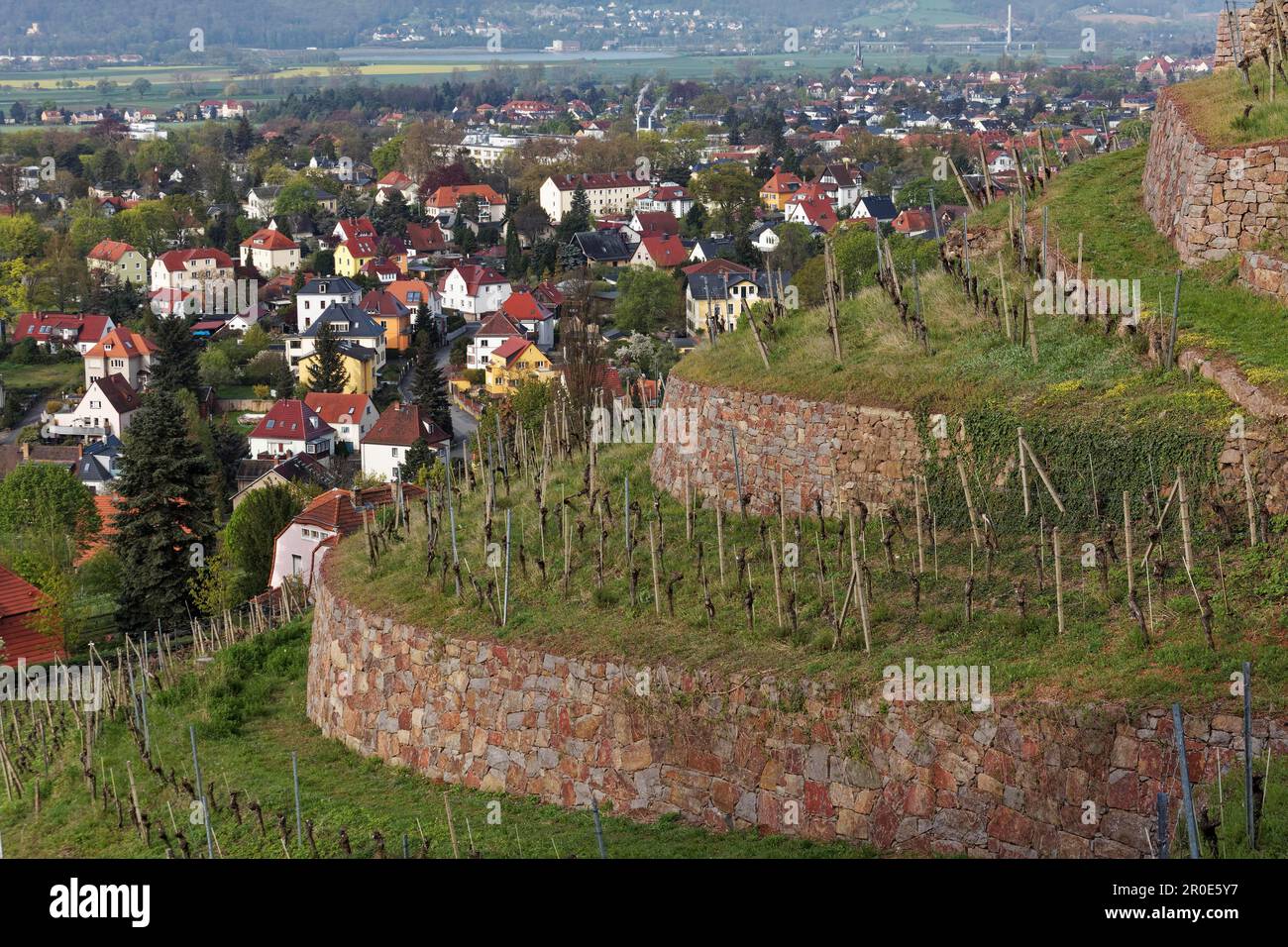 Terracing vine cultivation hi-res stock photography and images - Alamy