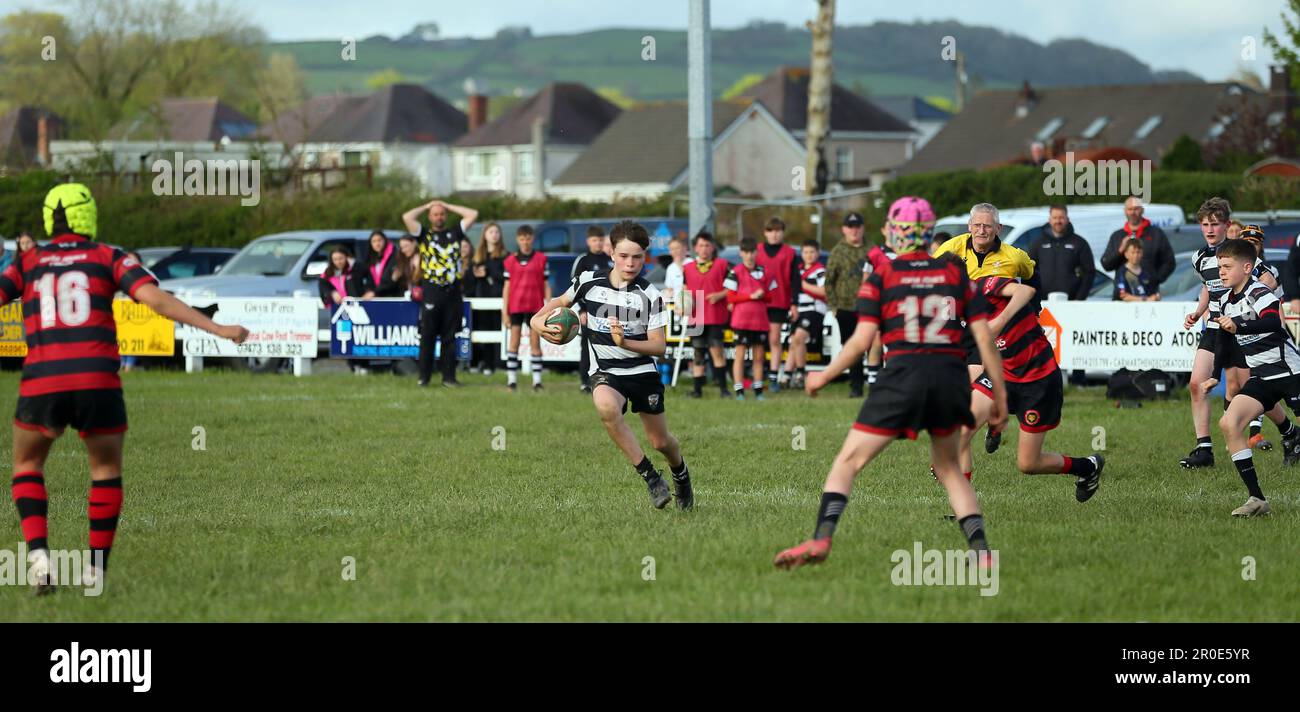 Tumble rfc hi-res stock photography and images - Alamy