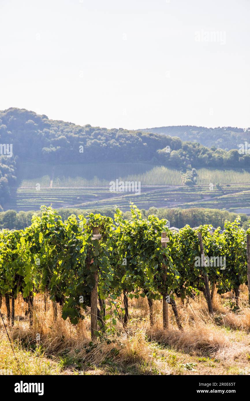 Tri border area hi-res stock photography and images - Alamy