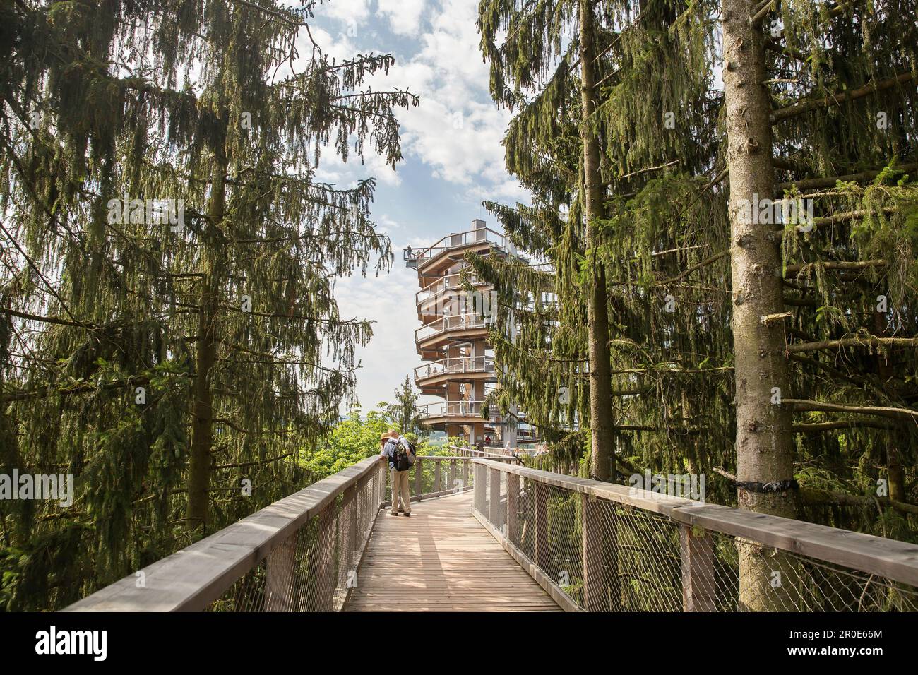 Treetop Walk above the Saarschleife, Saarland, Germany Stock Photo - Alamy