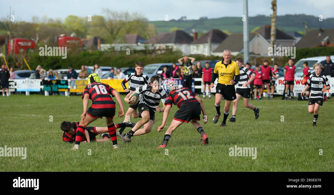 Tumble rfc hi-res stock photography and images - Alamy