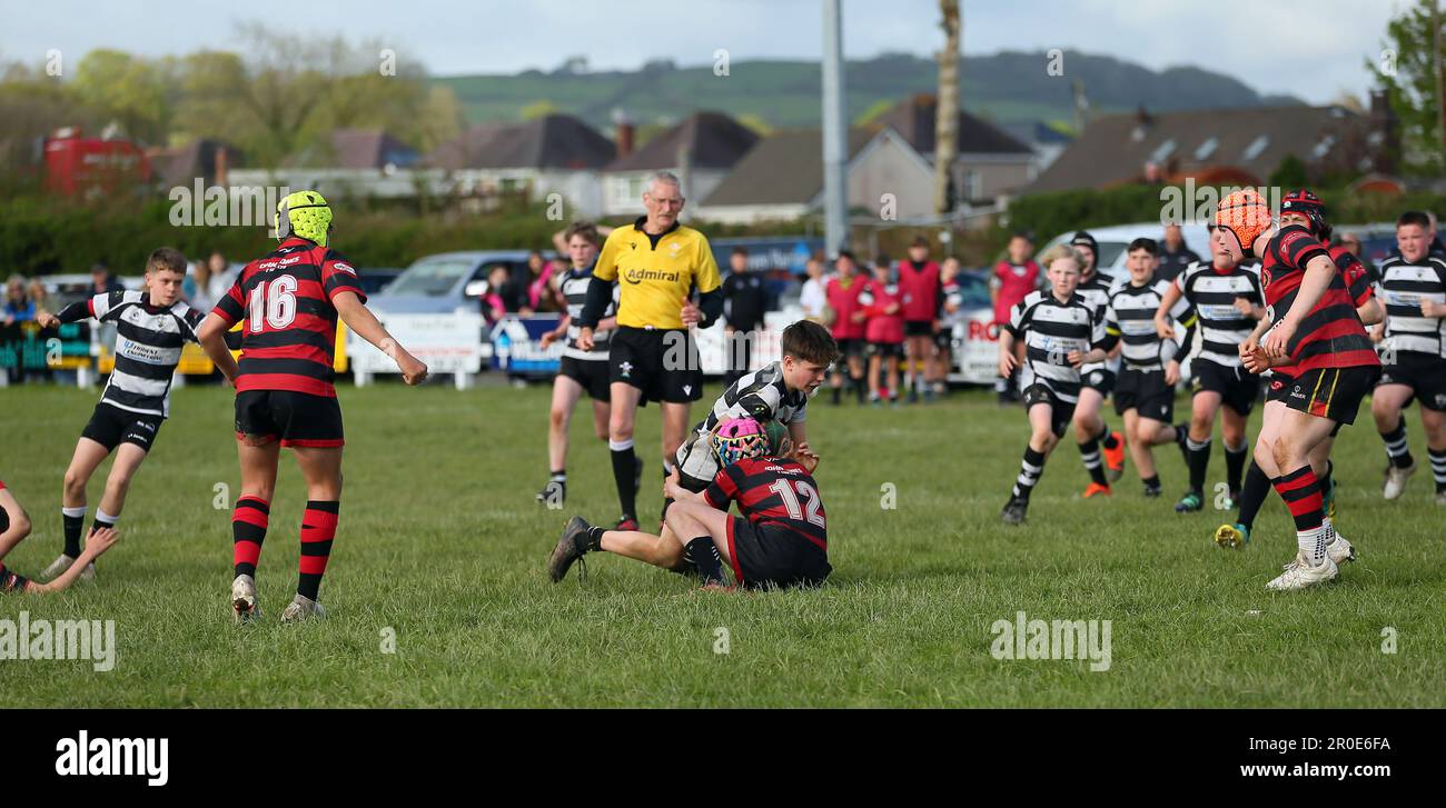 Tumble RFC Scarlets Cup Final 2023 Stock Photo - Alamy