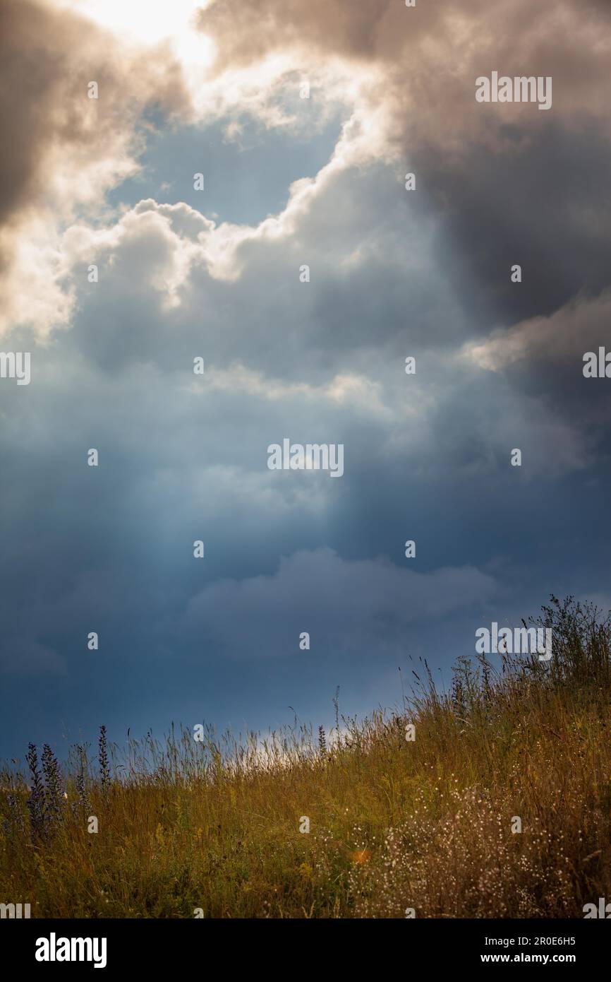Meadow sunbeam hi-res stock photography and images - Alamy