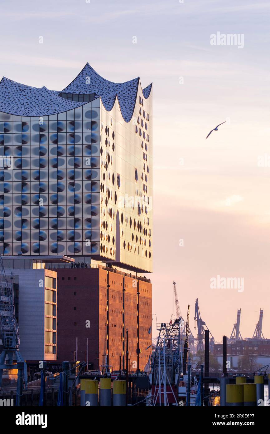 A view of the Elbphilharmonie, Hamburg, Germany Stock Photo - Alamy