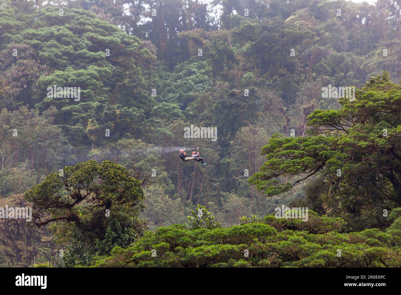 A cable car in the cloud forest in Selvatura Park, Monteverde, Costa ...