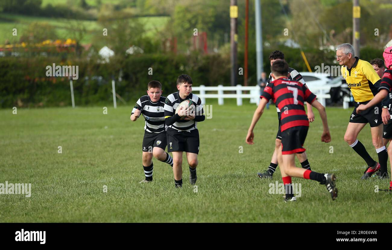 Tumble rfc hi-res stock photography and images - Alamy