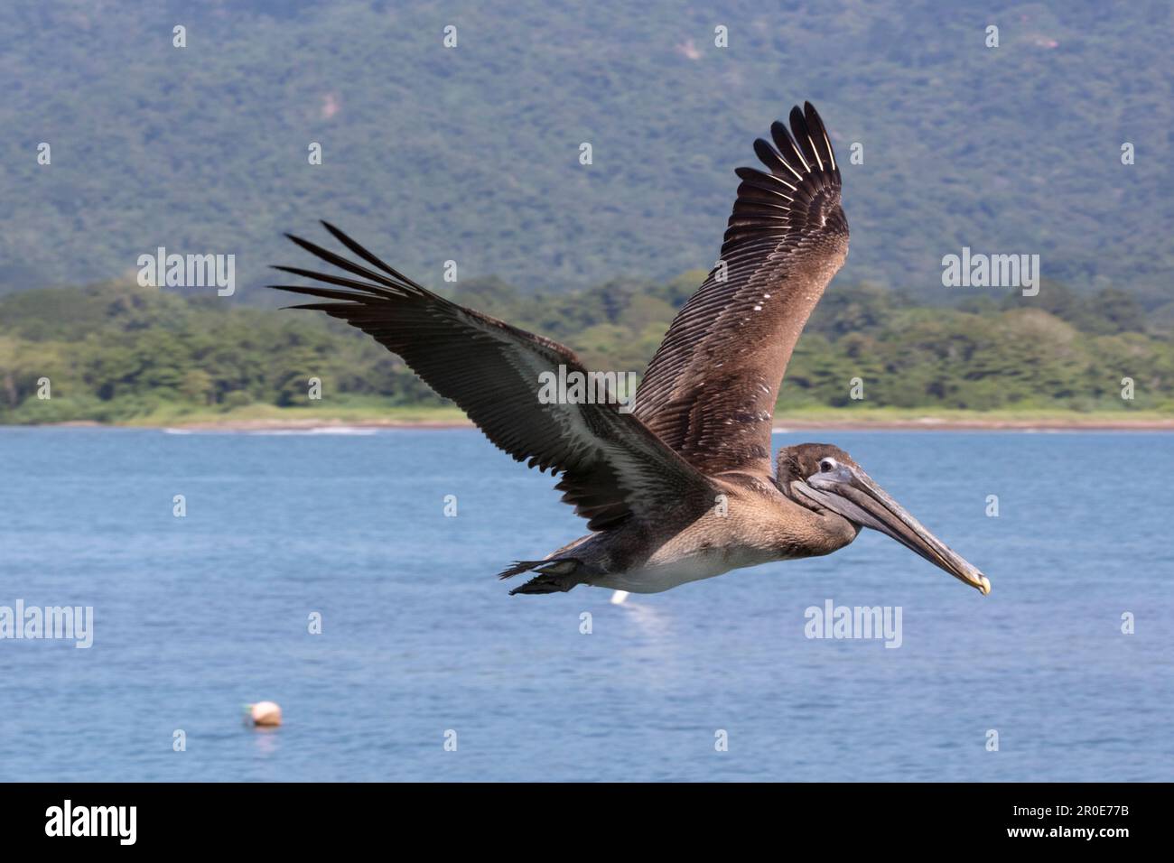 Tambor exterior hi-res stock photography and images - Alamy