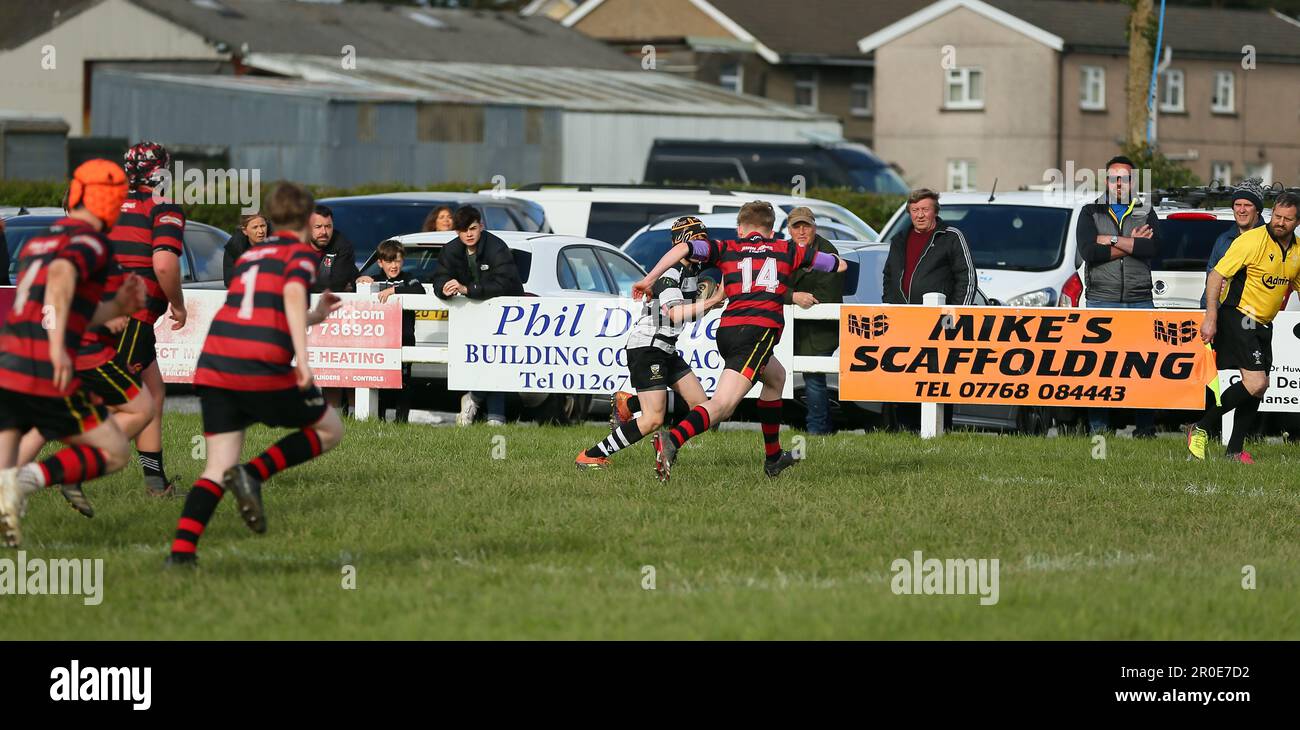Tumble RFC Scarlets Cup Final 2023 Stock Photo - Alamy