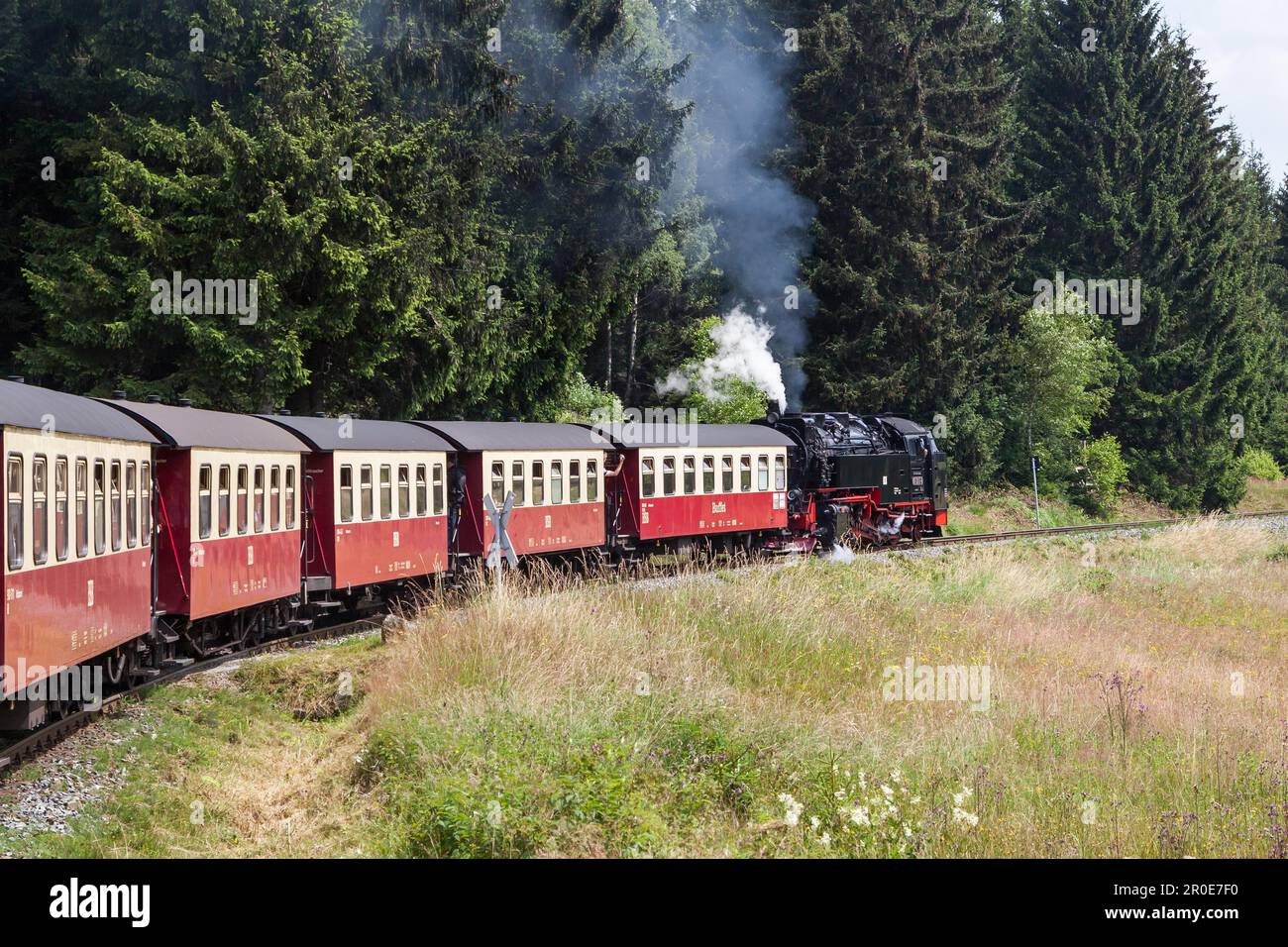 Harz narrow gauge railway Stock Photo - Alamy