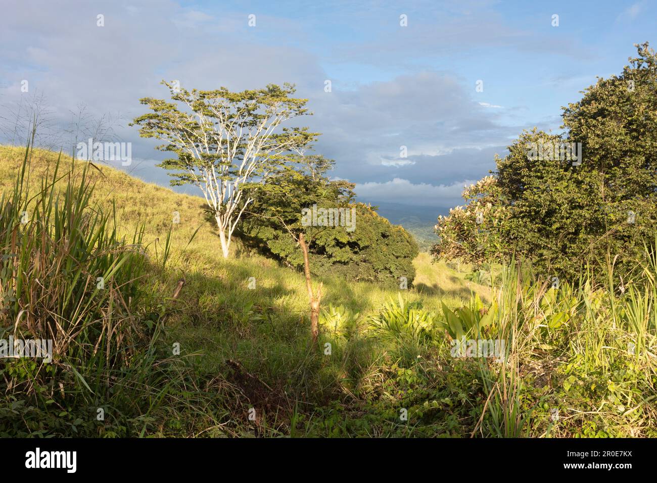 Valle El Coto Brus, Costa Rica, Central America Stock Photo - Alamy