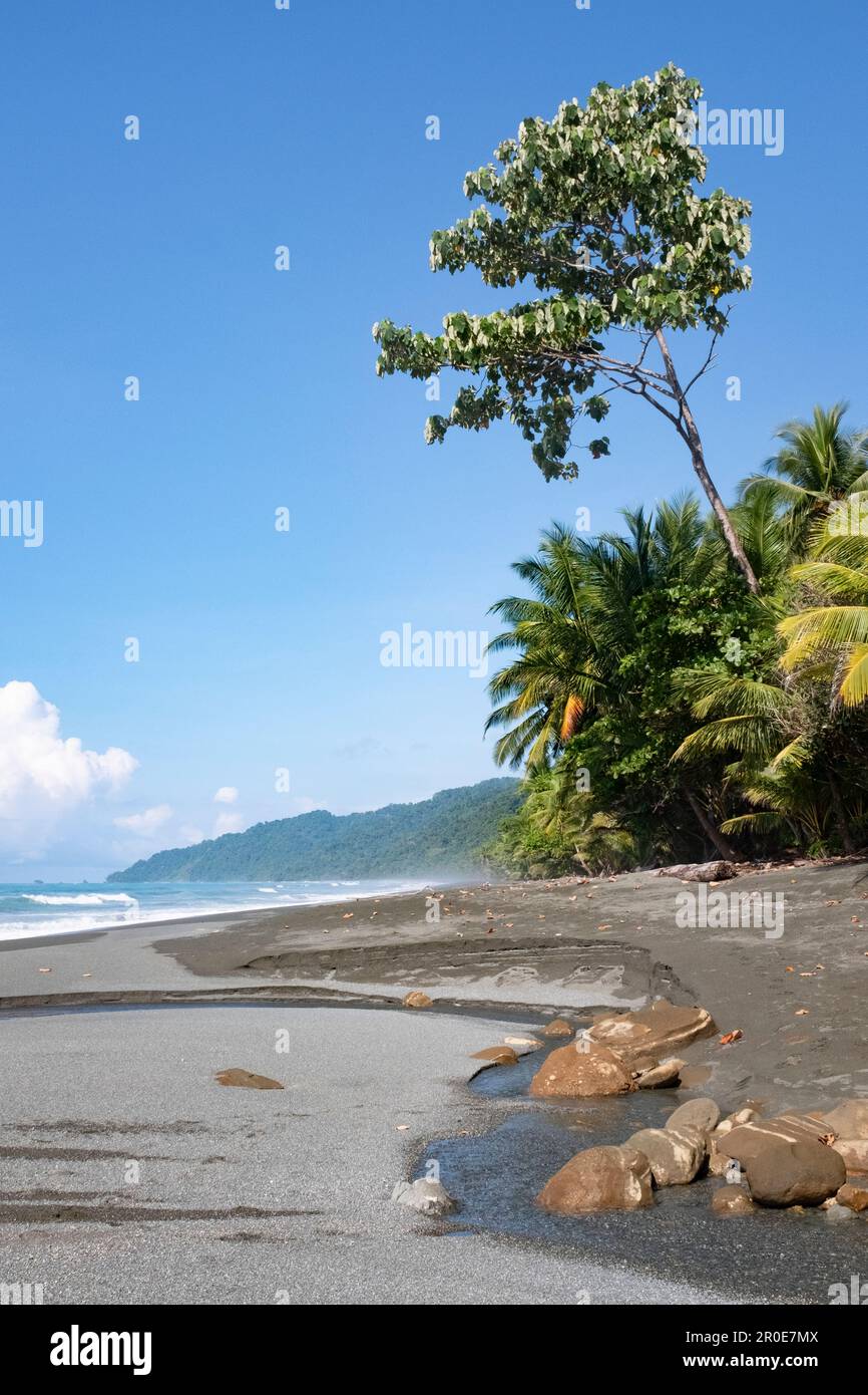 Corcovado National Park, Osa Peninsula, Costa Rica, Central America Stock Photo - Alamy