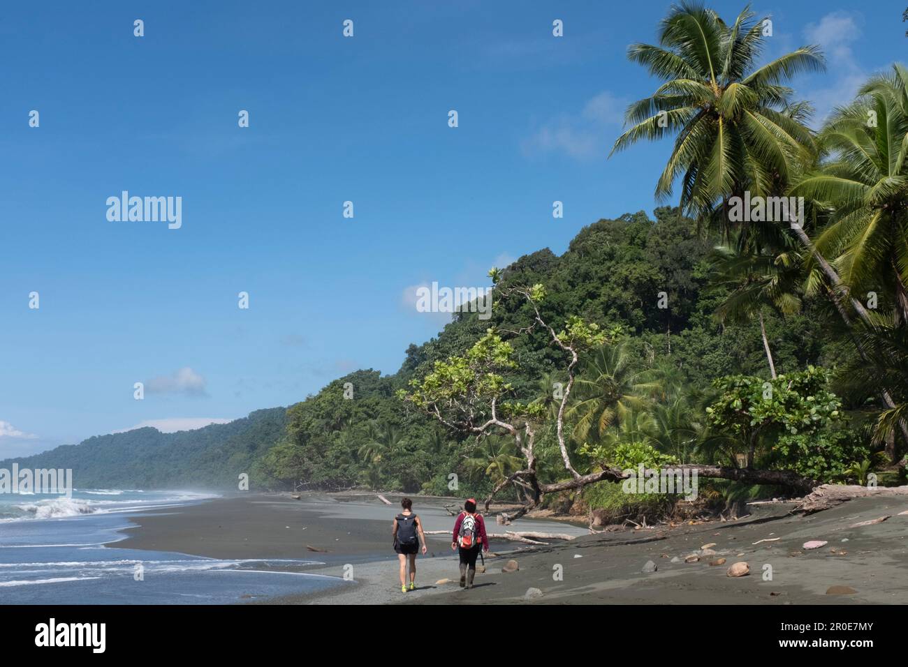 Corcovado National Park, Osa Peninsula, Costa Rica, Central America Stock Photo - Alamy