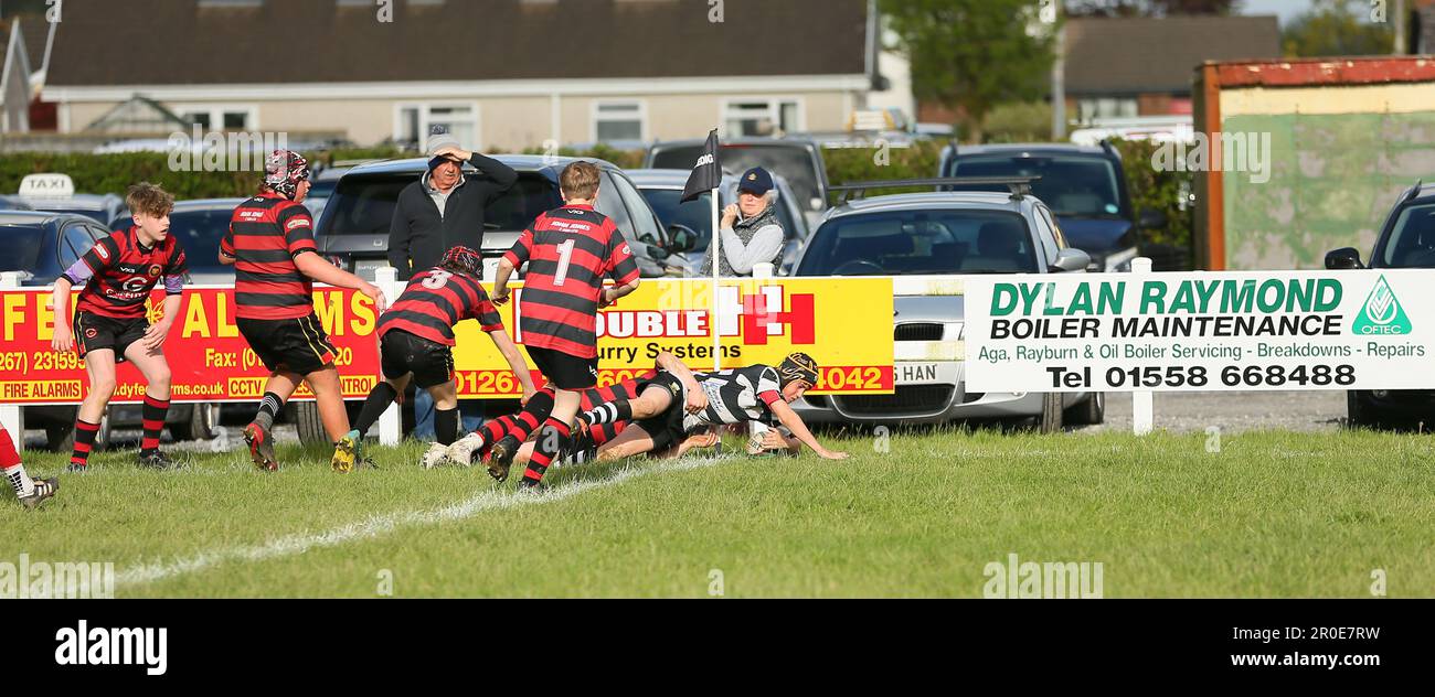 Tumble rfc hi-res stock photography and images - Alamy