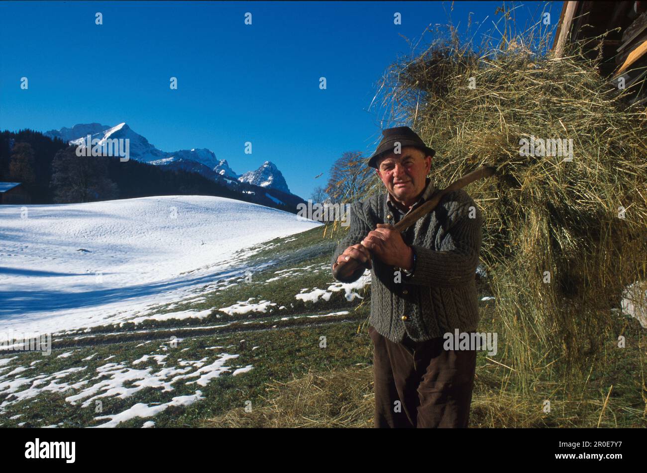 Bavarian farmer carrying hay, Upper Bavaria, Bavaria, Germany Stock ...