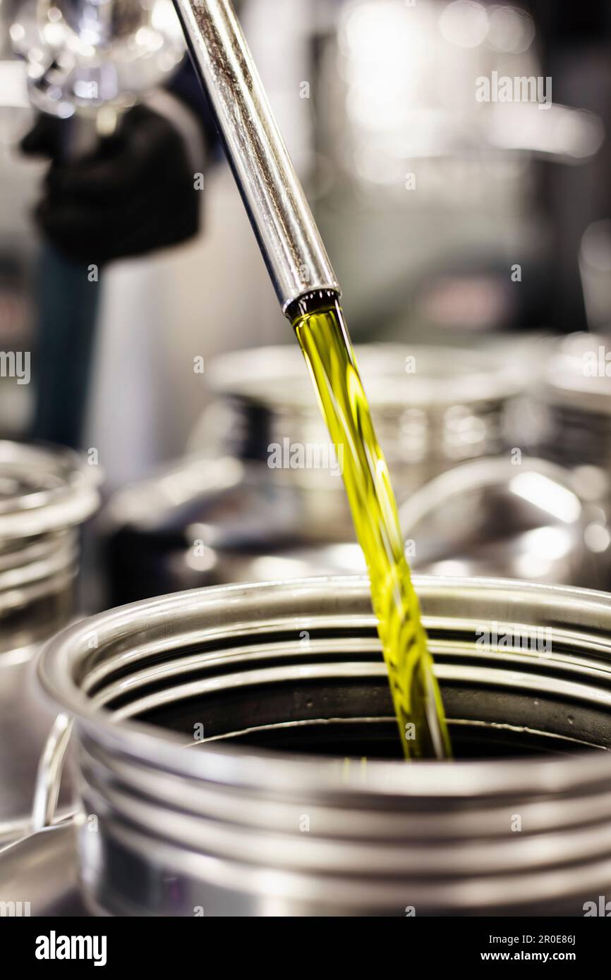 Mate Agrofin, high quality olive oil from Istria, Croatia Stock Photo ...