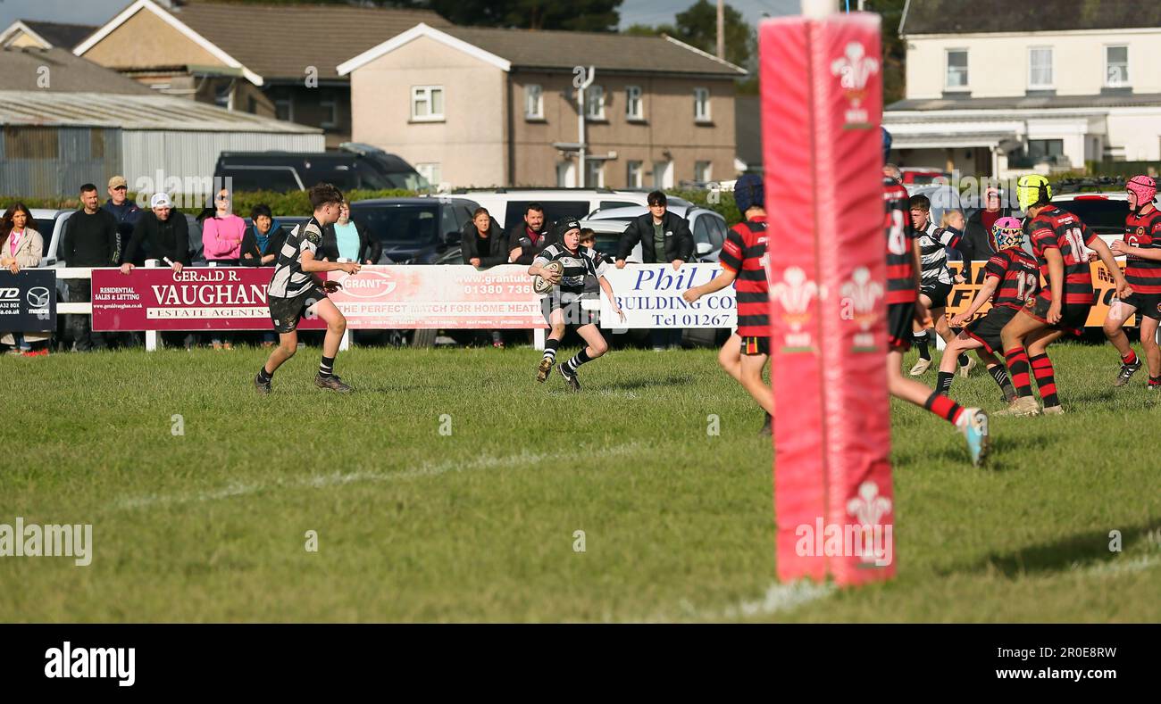 Tumble RFC Scarlets Cup Final 2023 Stock Photo - Alamy