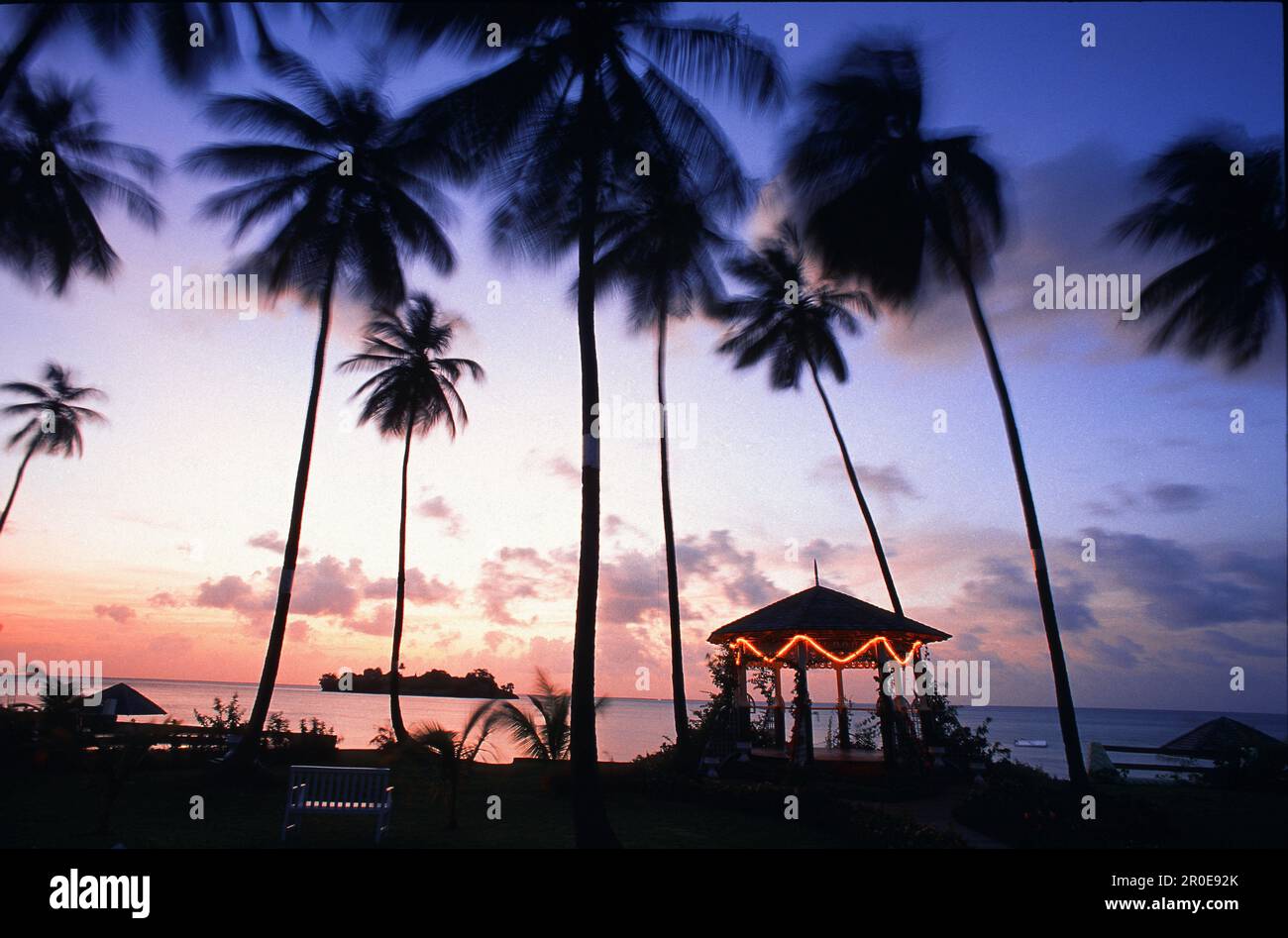 Palm trees and ocean at sunset, Sandals Regency, St. Lucia, Caribbean ...