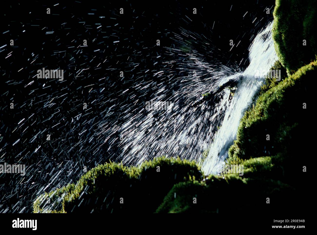 Quelle catalogue hi-res stock photography and images - Alamy