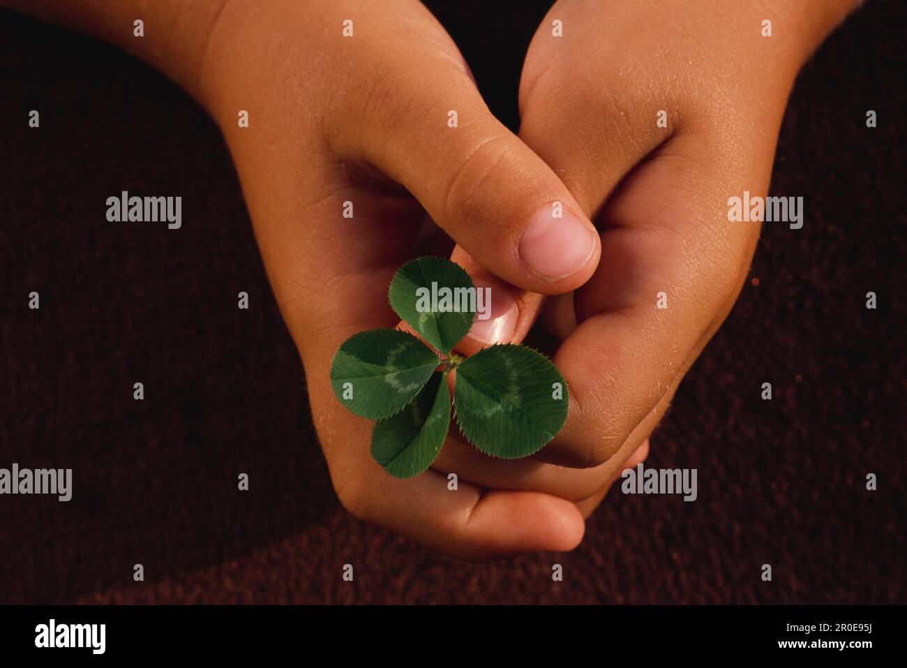 Kleeblatt hi-res stock photography and images - Alamy