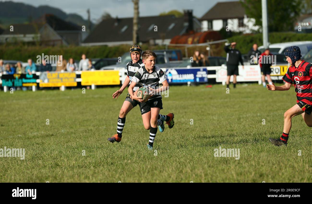 Tumble rfc hi-res stock photography and images - Alamy
