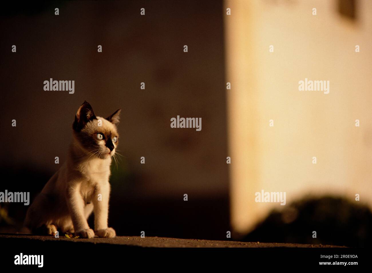 Wys symbol hi-res stock photography and images - Alamy