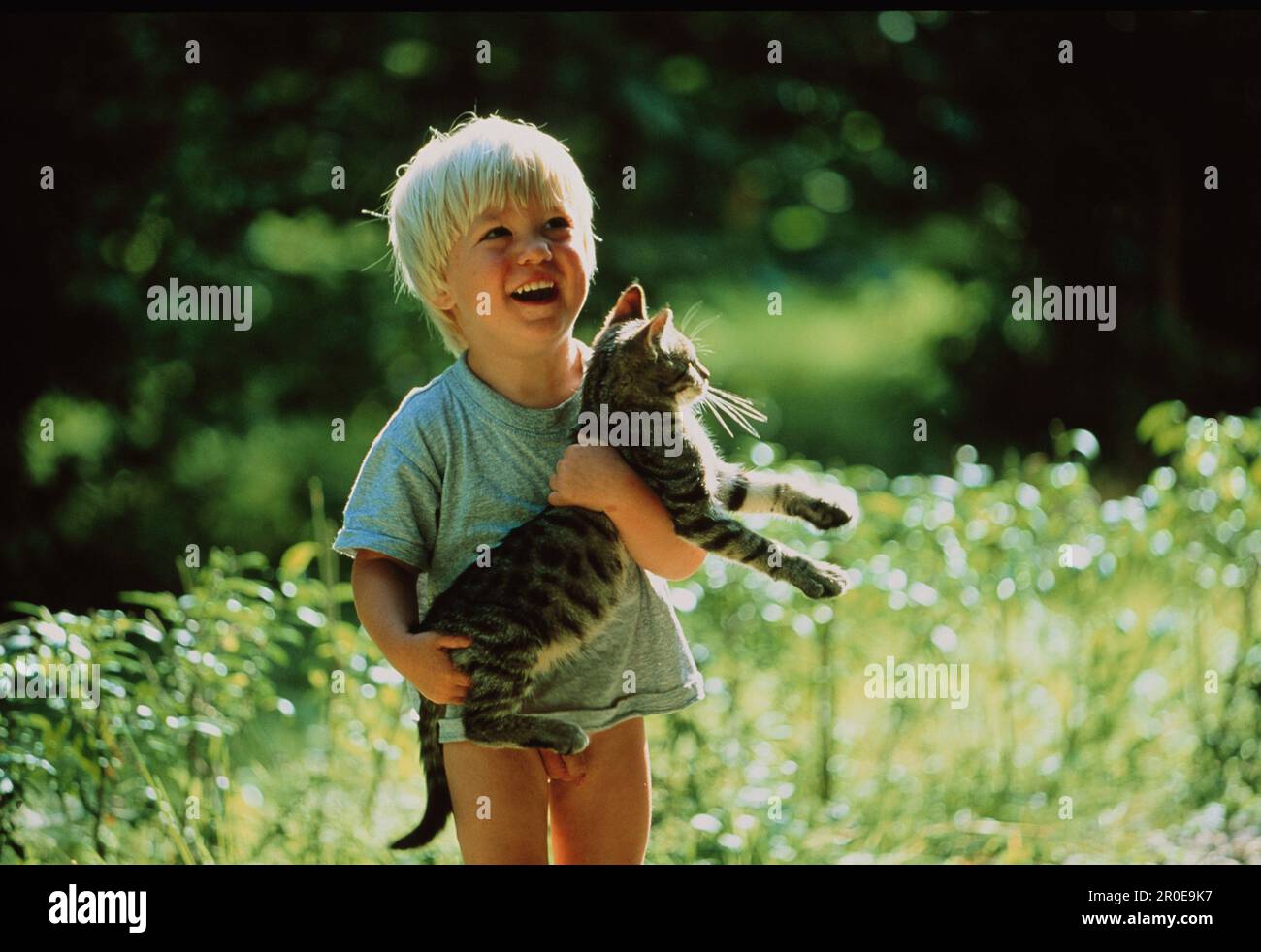 Mit katze hi-res stock photography and images - Alamy