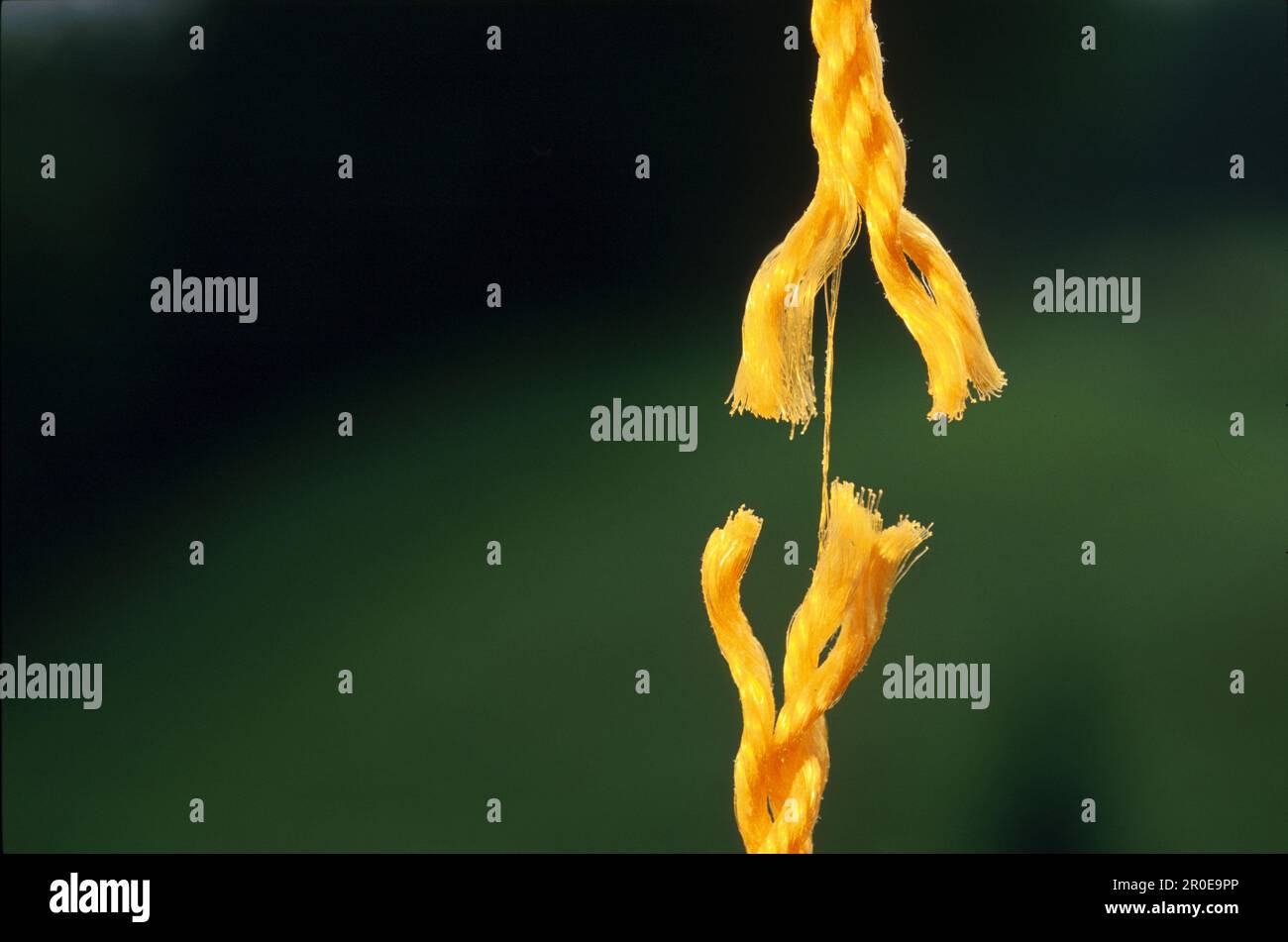 Symbol am seidenen Faden Stock Photo - Alamy