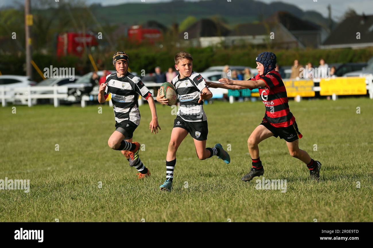 Tumble RFC Scarlets Cup Final 2023 Stock Photo - Alamy
