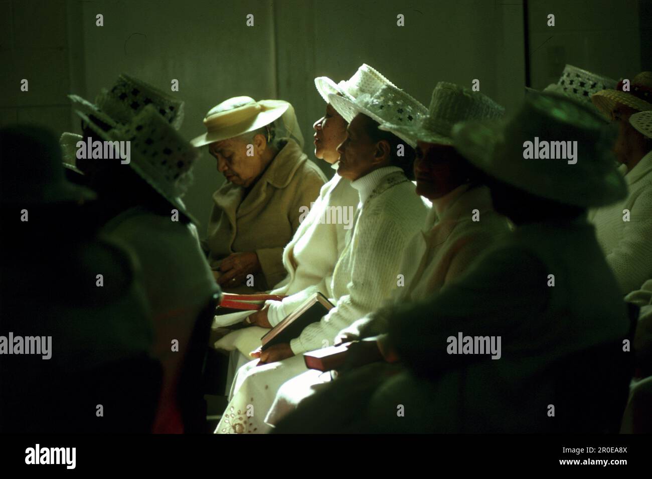 Auckland, Neuseeland not released Stock Photo - Alamy