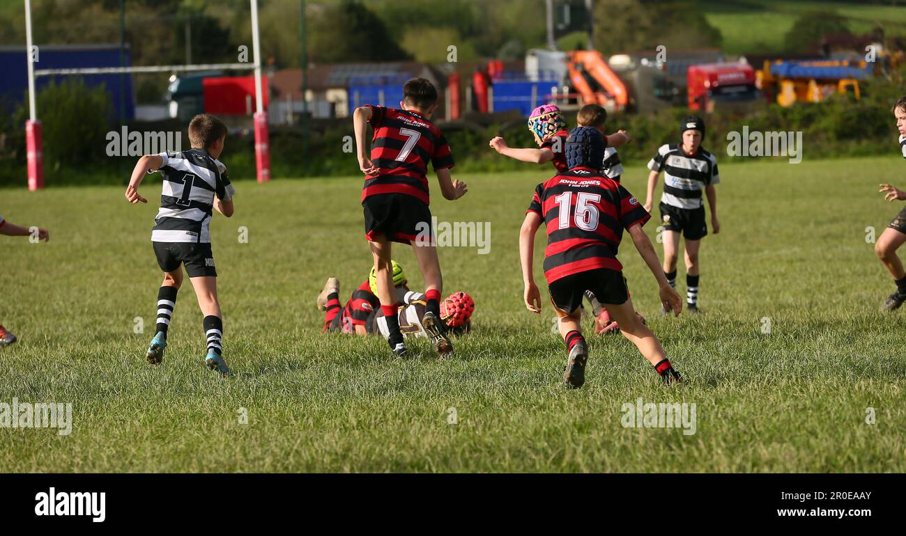 Tumble RFC Scarlets Cup Final 2023 Stock Photo - Alamy