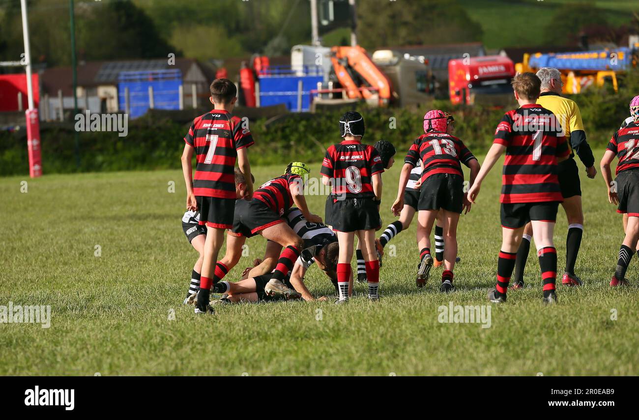 Tumble RFC Scarlets Cup Final 2023 Stock Photo - Alamy