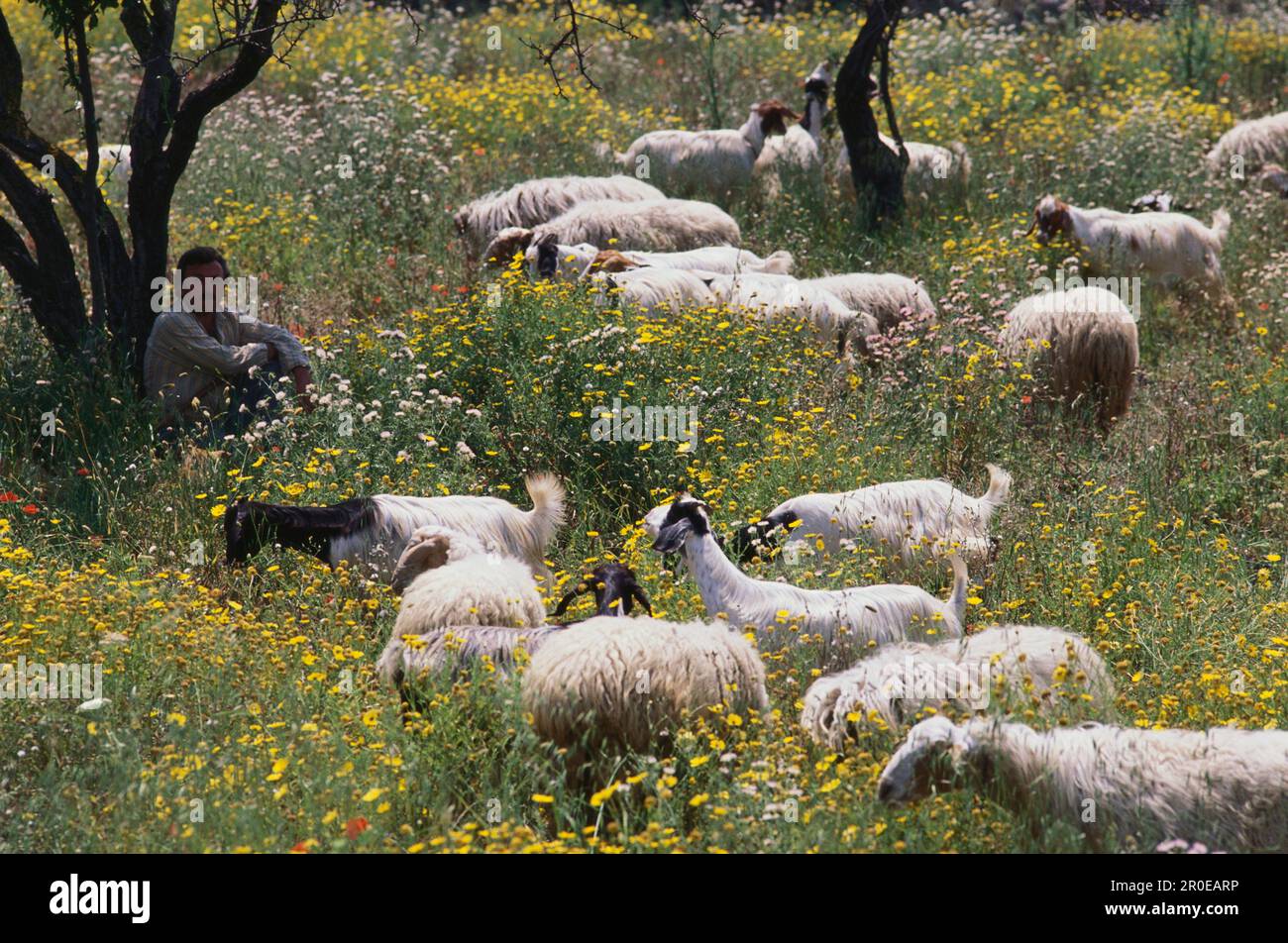 Shepherds points hi-res stock photography and images - Alamy
