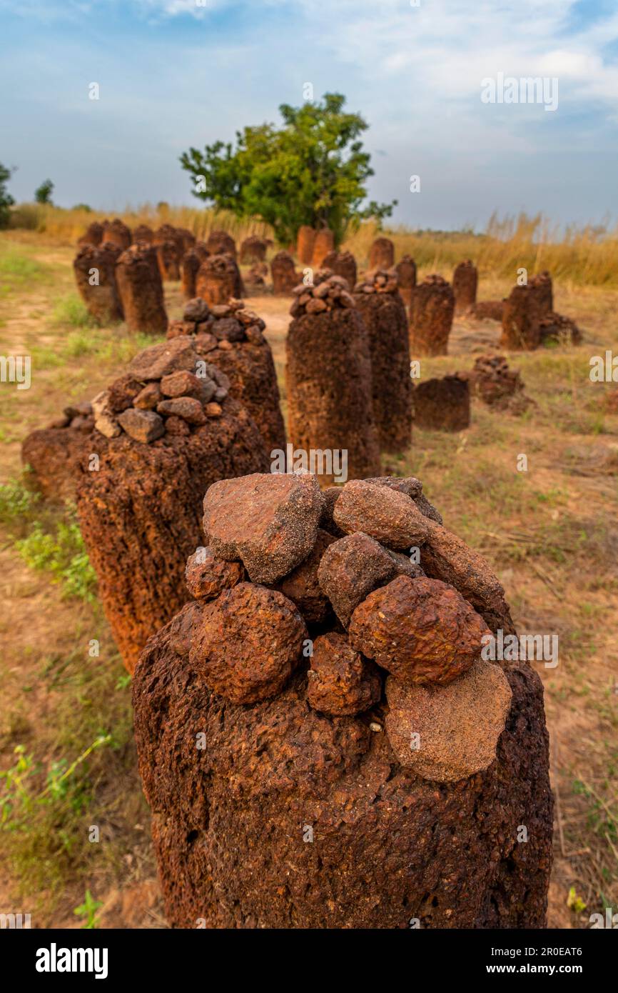 Unesco site Senegambian stone circles, Wassu, Gambia Stock Photo - Alamy