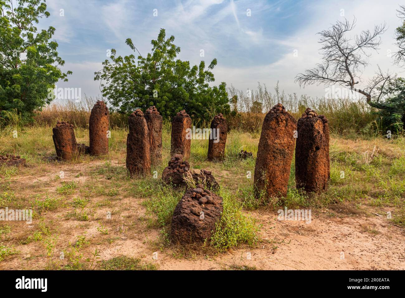 Senegambian hi-res stock photography and images - Alamy