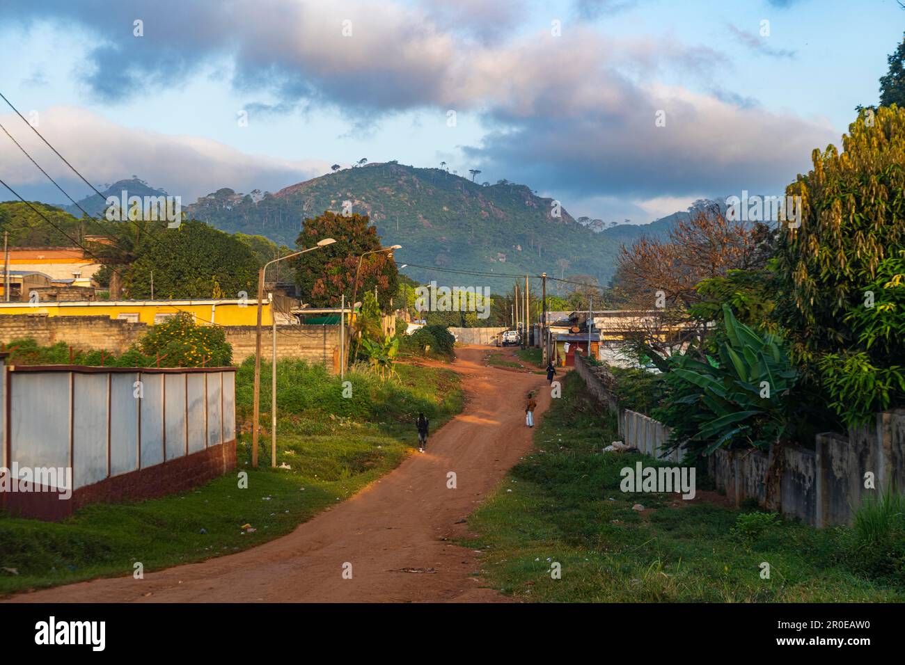 Cote Divoire Scenery 5 Reasons To Visit Van Long Nature Reserve An